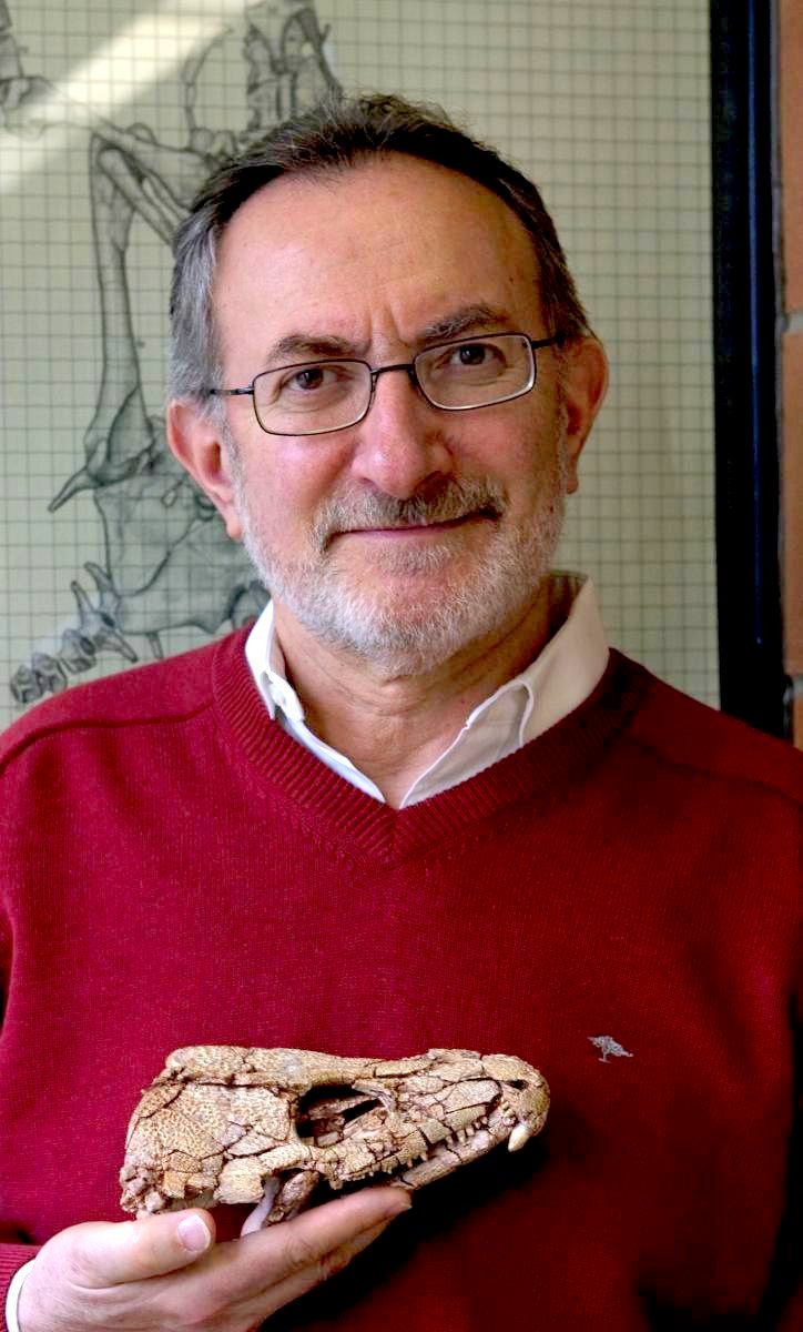 Special Events for Seniors in Mississauga Area